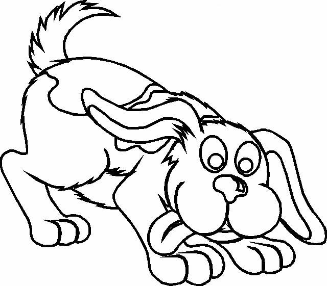 Cani 5, Disegni per bambini da colorare